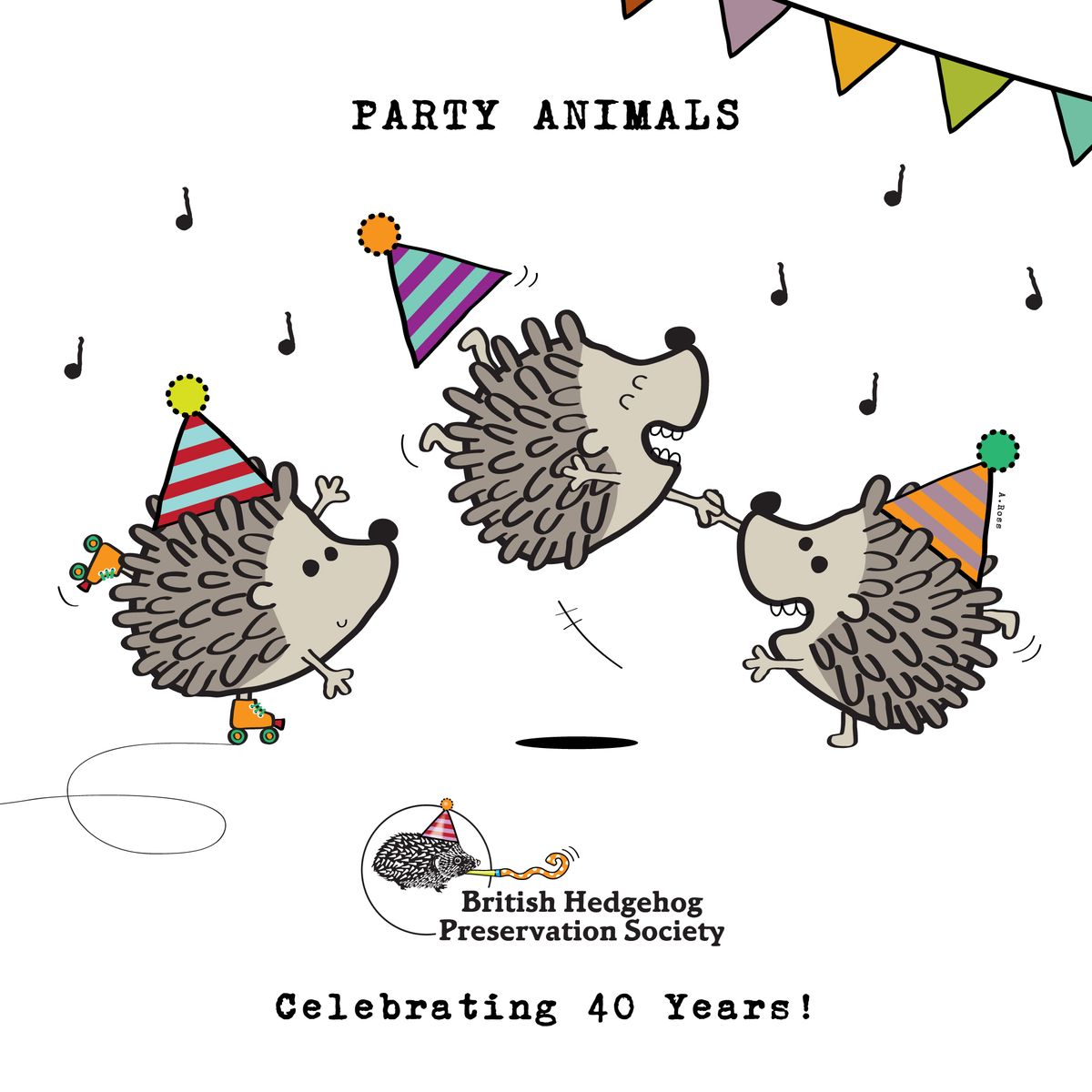 Exercise Hedgehog! — Hugh Warwick - Buymeacoffee