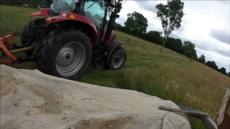 Ian Pullen is .... Farm, family, fun and Life on a small UK Dexter beef ...