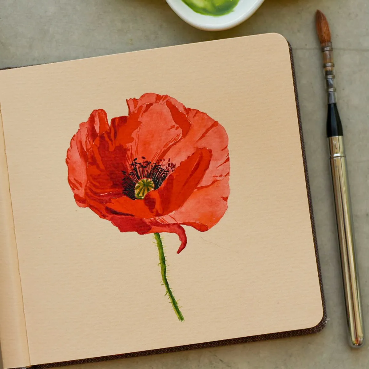Olena is Self taught artist, likes watercolor, pencils, gouache and ink ...