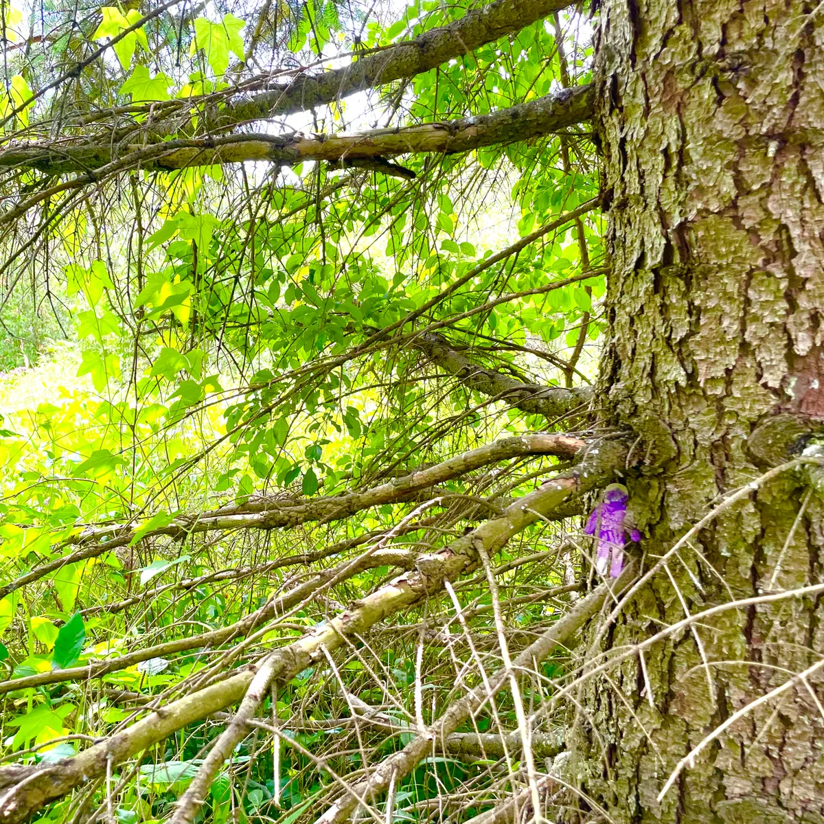 Pancake People is Installation Artwork - Buymeacoffee