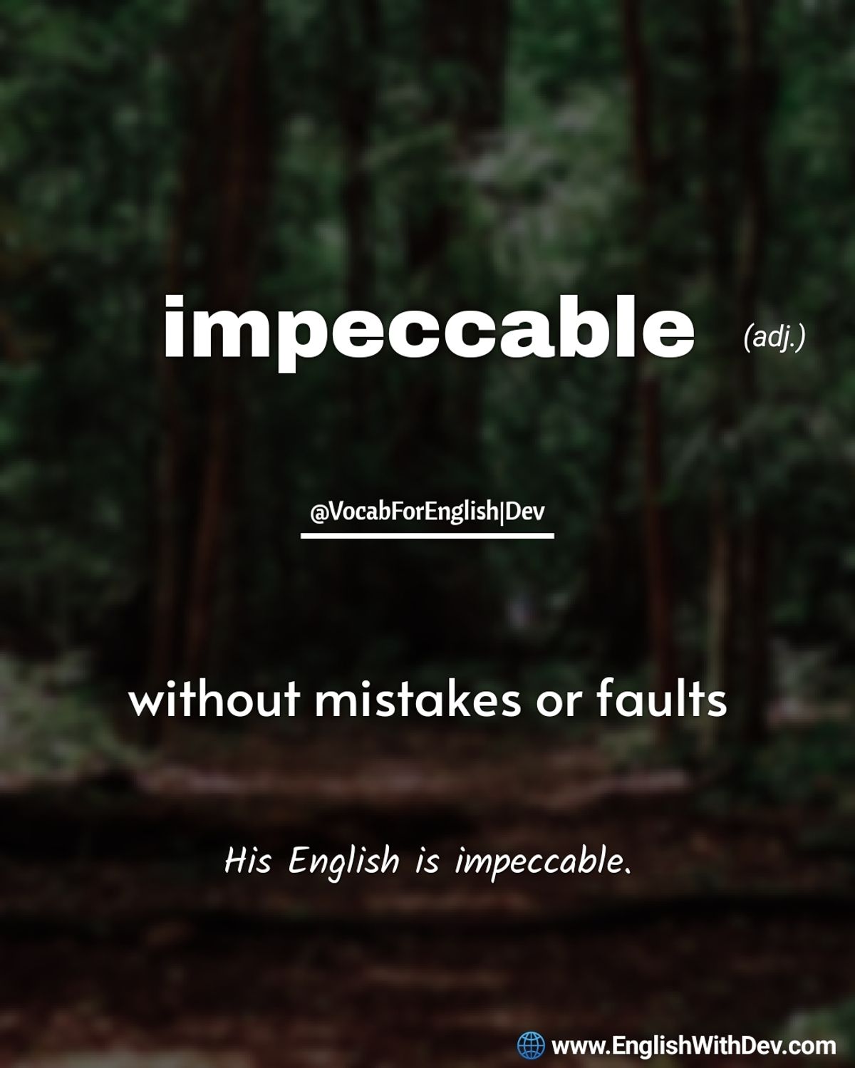 Impeccable Definition & Meaning — Dev