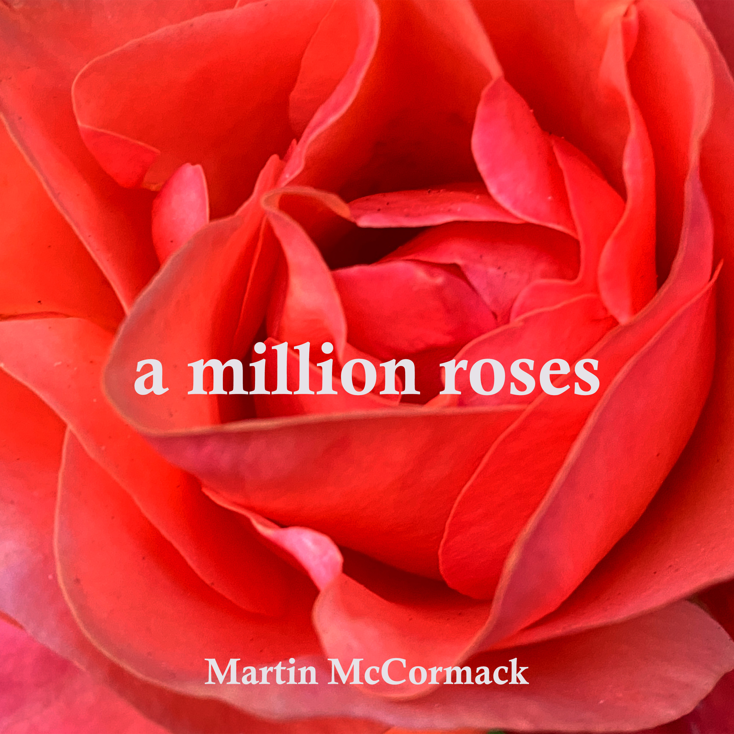 The Story Behind "A Million Roses" — Martin McCormack - Buymeacoffee
