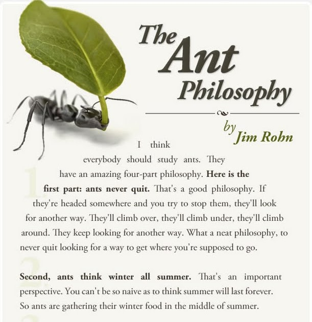 The Ant and Its Philosophy — Indiran