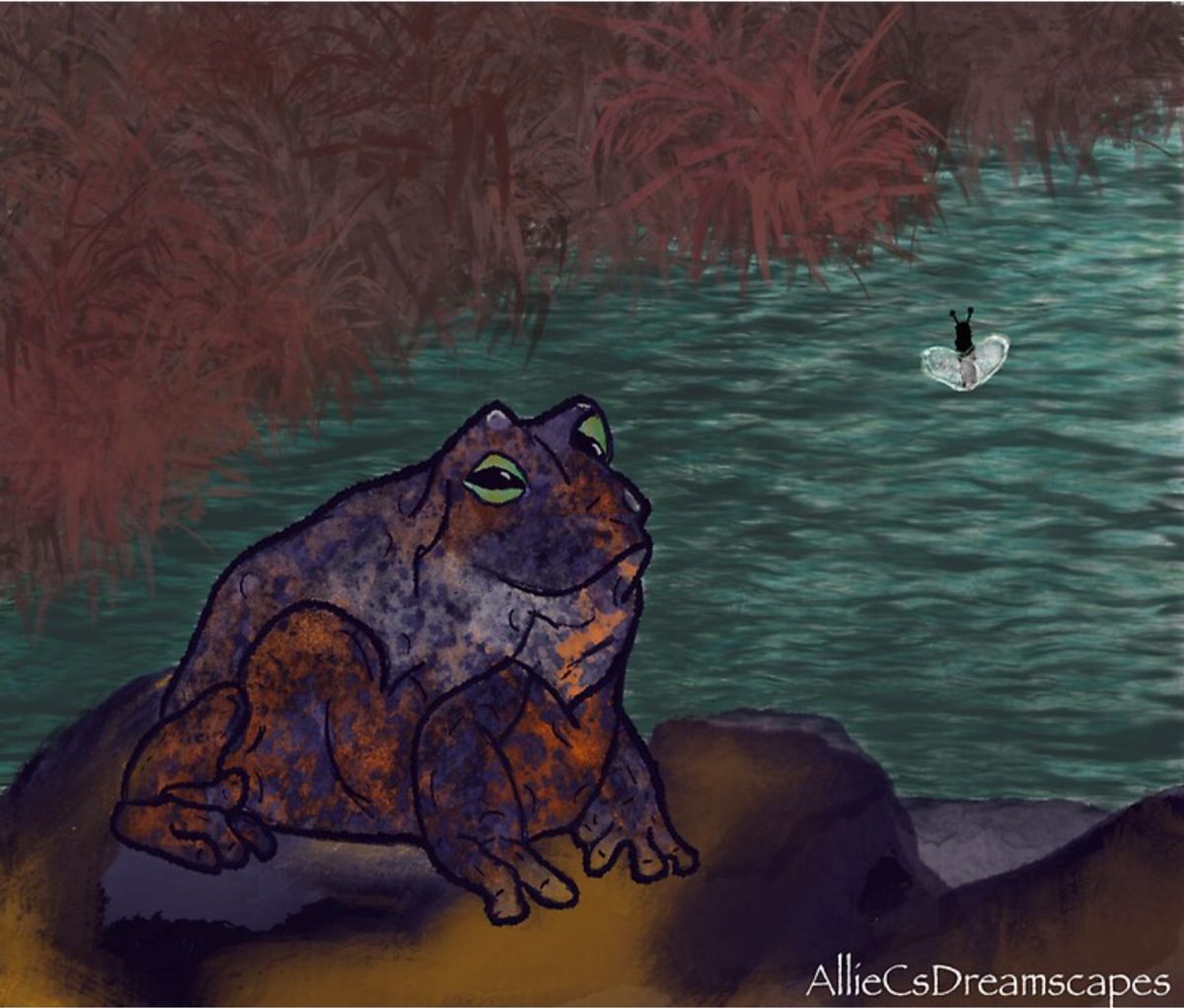 Todd The Toad Available Now! — Allie C - Buymeacoffee