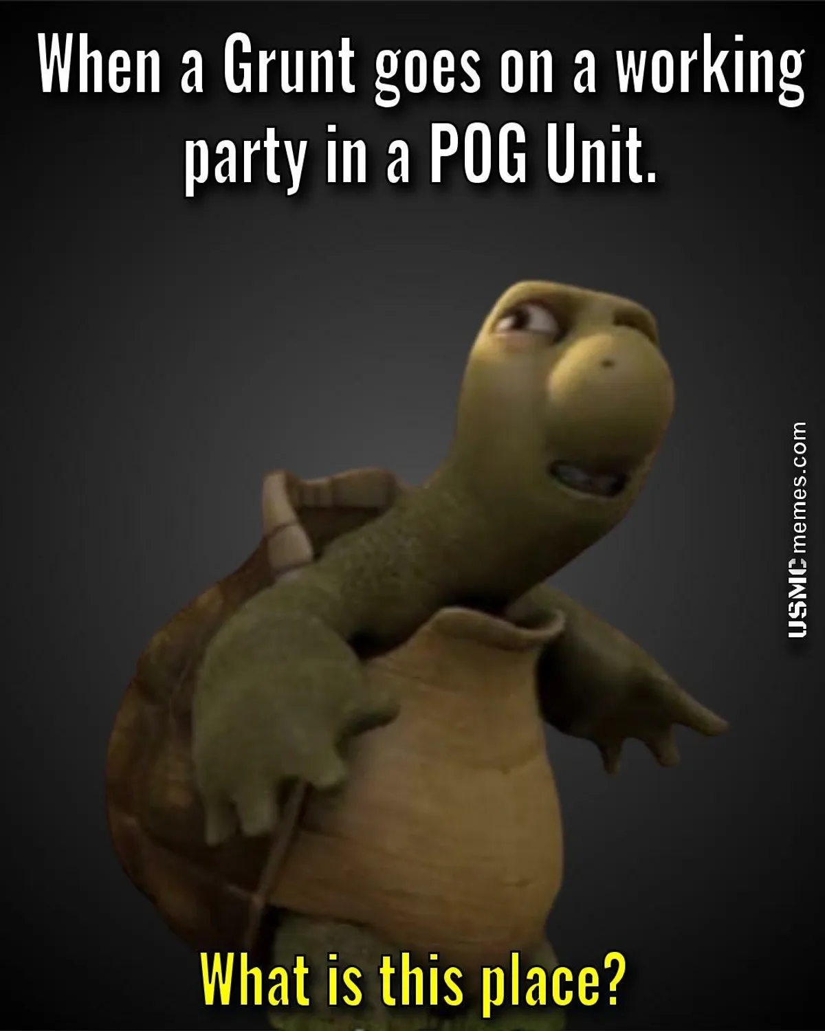 Meme 1428 - Grunt in a POG unit — USMC memes