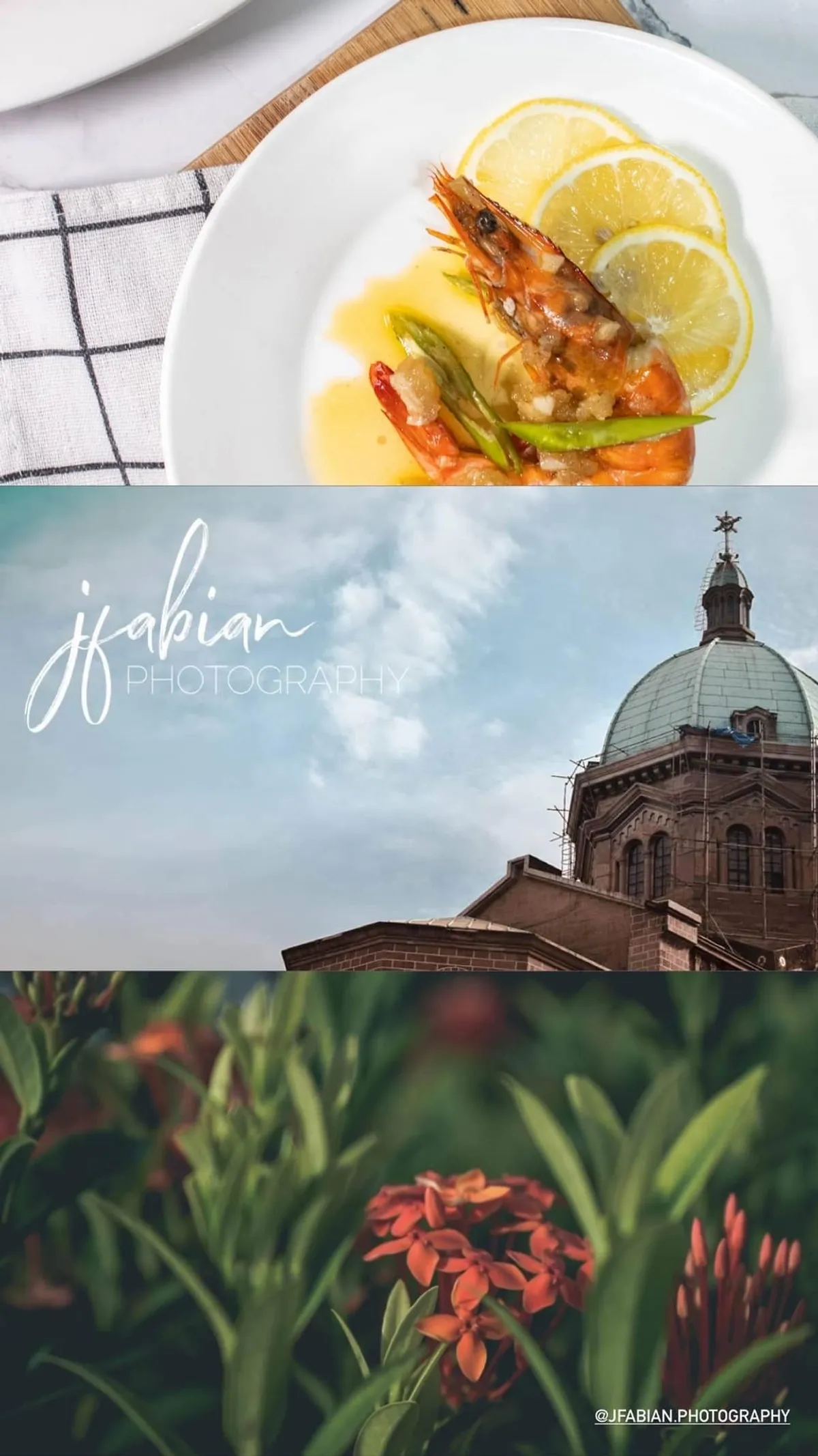 Joseph Fabian is a creative species