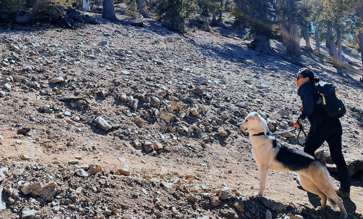ARTICLES IN COMMON is a better way to shop outdoor gear & apparel ...