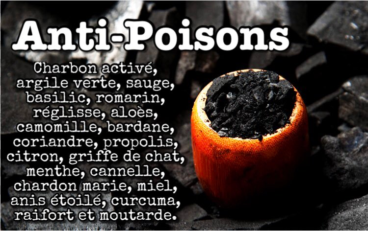 Pensez en termes d'anti-poisons... naturels — Claude Gélinas - Buymeacoffee