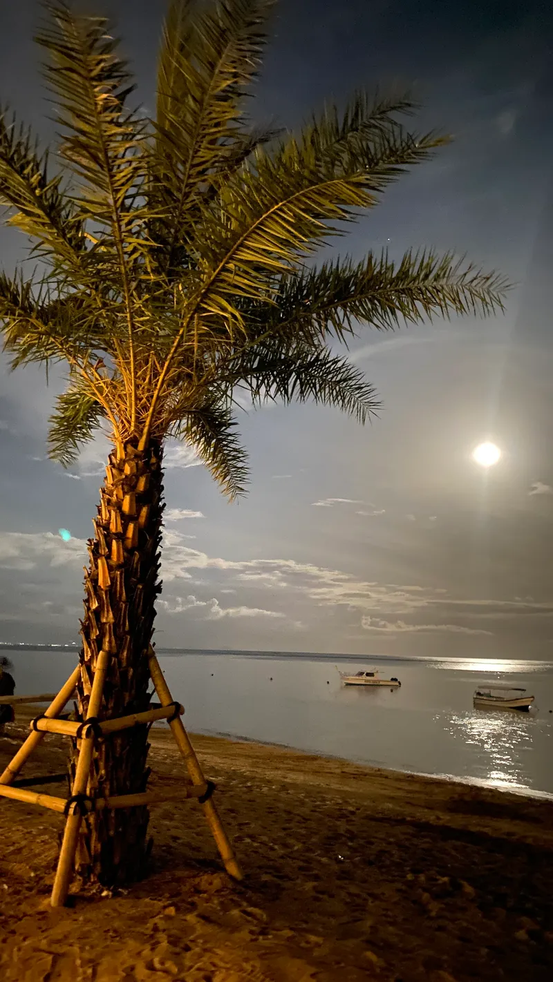 Balnur - Buymeacoffee