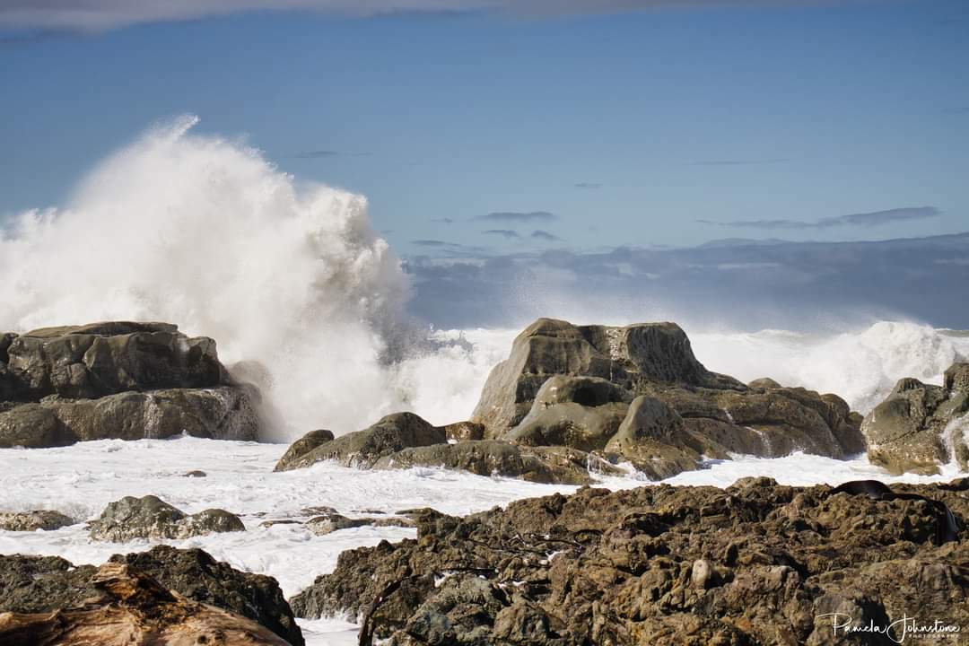 Ward Beach — Pamela Johnstone Photography - Buymeacoffee