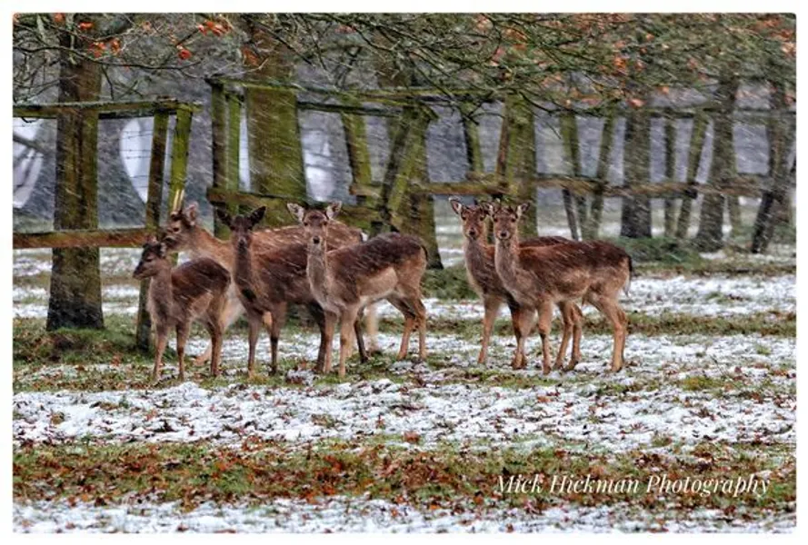 Mick Hickman Photography is Photography website to showcase and sell my ...