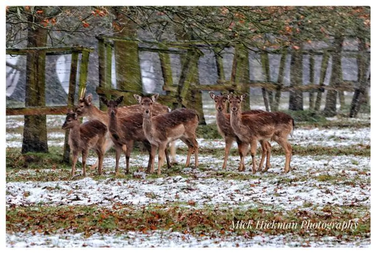 Mick Hickman Photography is Just showcasing my passion for photography ...