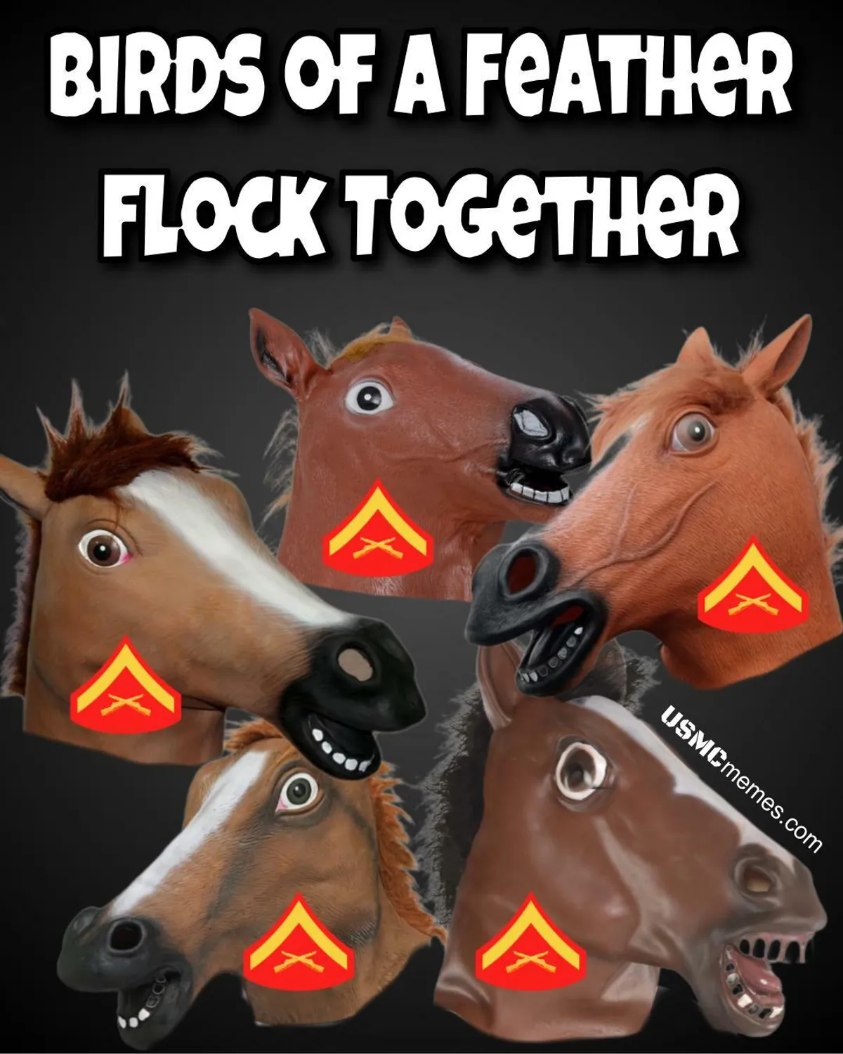 Meme 1561 - Birds of a Feather — USMC memes