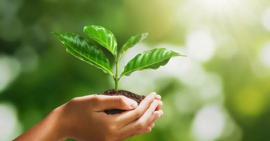 Sustainable Chic: Redefining Fashion for a Greener Future — Presilda