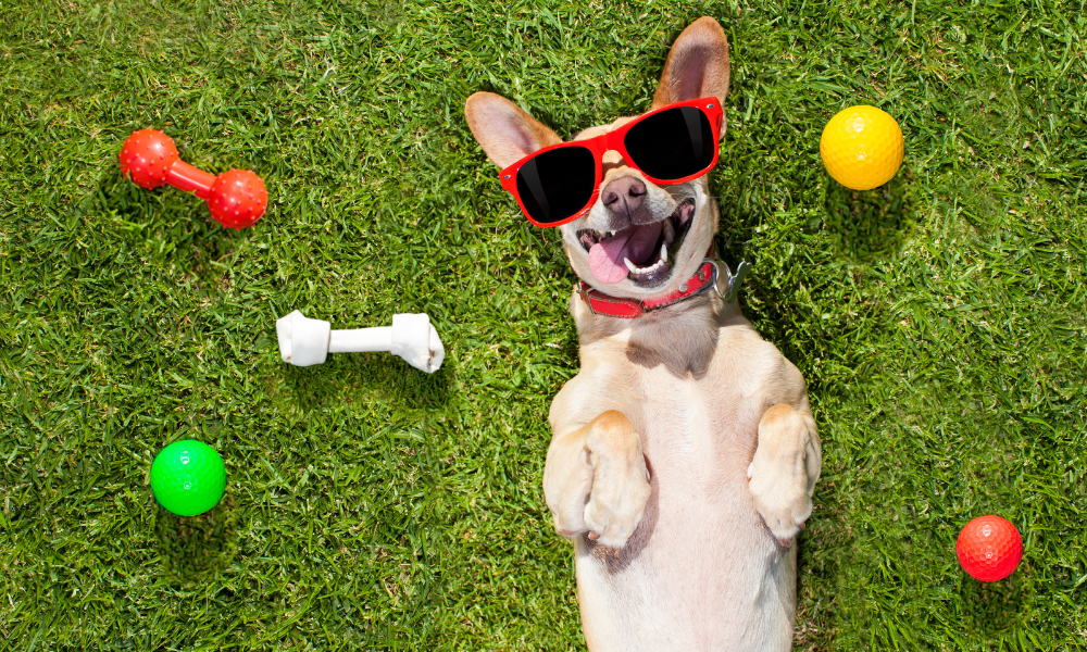 ¿Cuáles son los síntomas y causas más comunes del codo de tenista ...