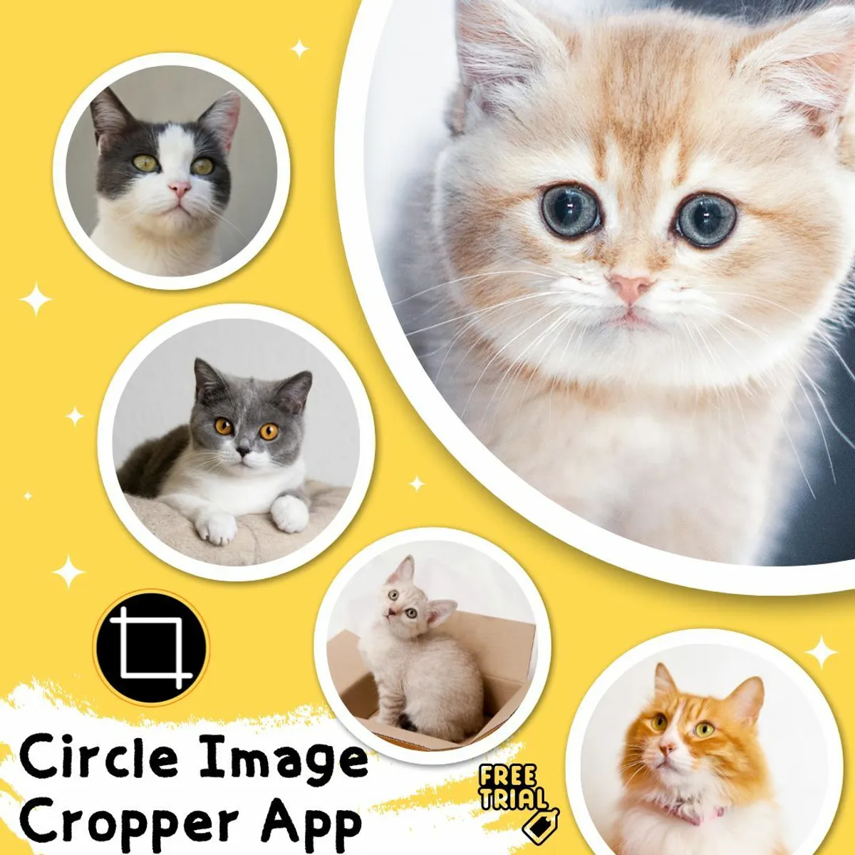 Crop Image With Color Frame - Circle Image Cropper 2023 — ᗪᗴᗰO ᗪᗴᐯᗴᏝOᑭᗴᖇᔕ