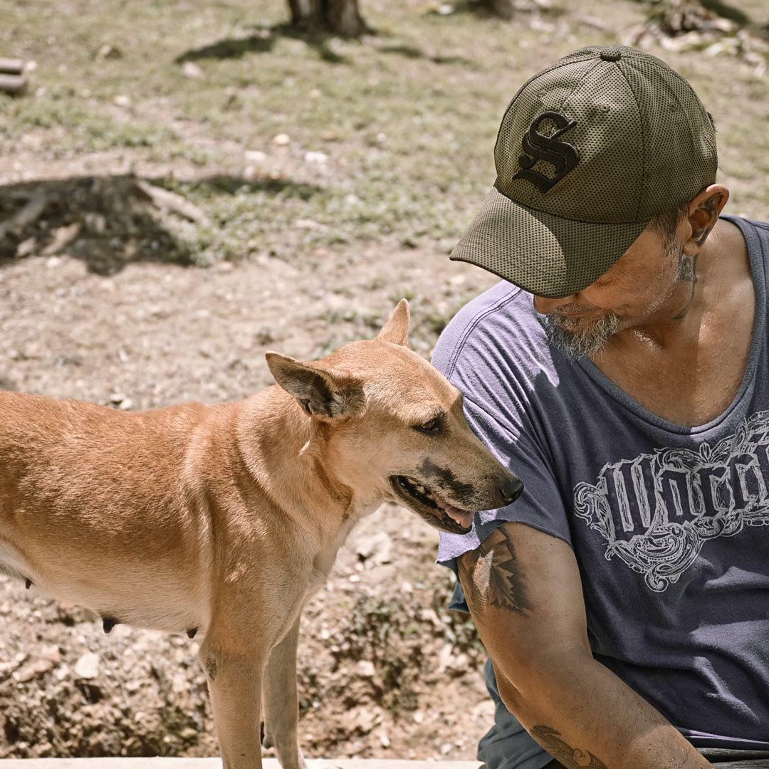Operation Rescue. — Street Dog Sanctuary