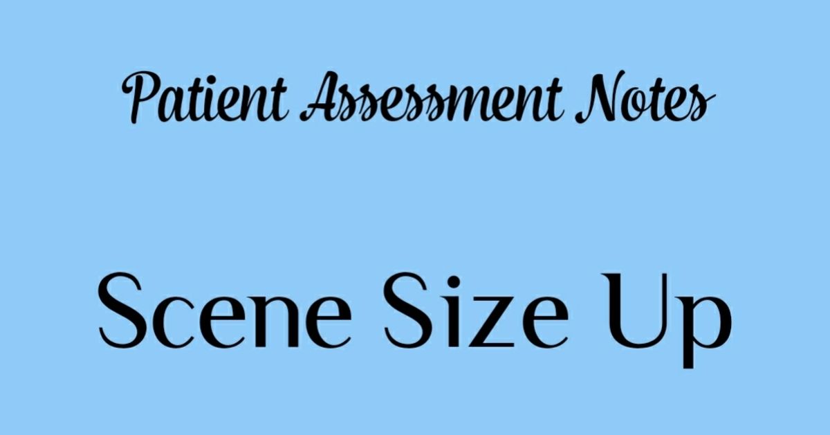 Scene Size Up — expressions.by.stephanie - Buymeacoffee