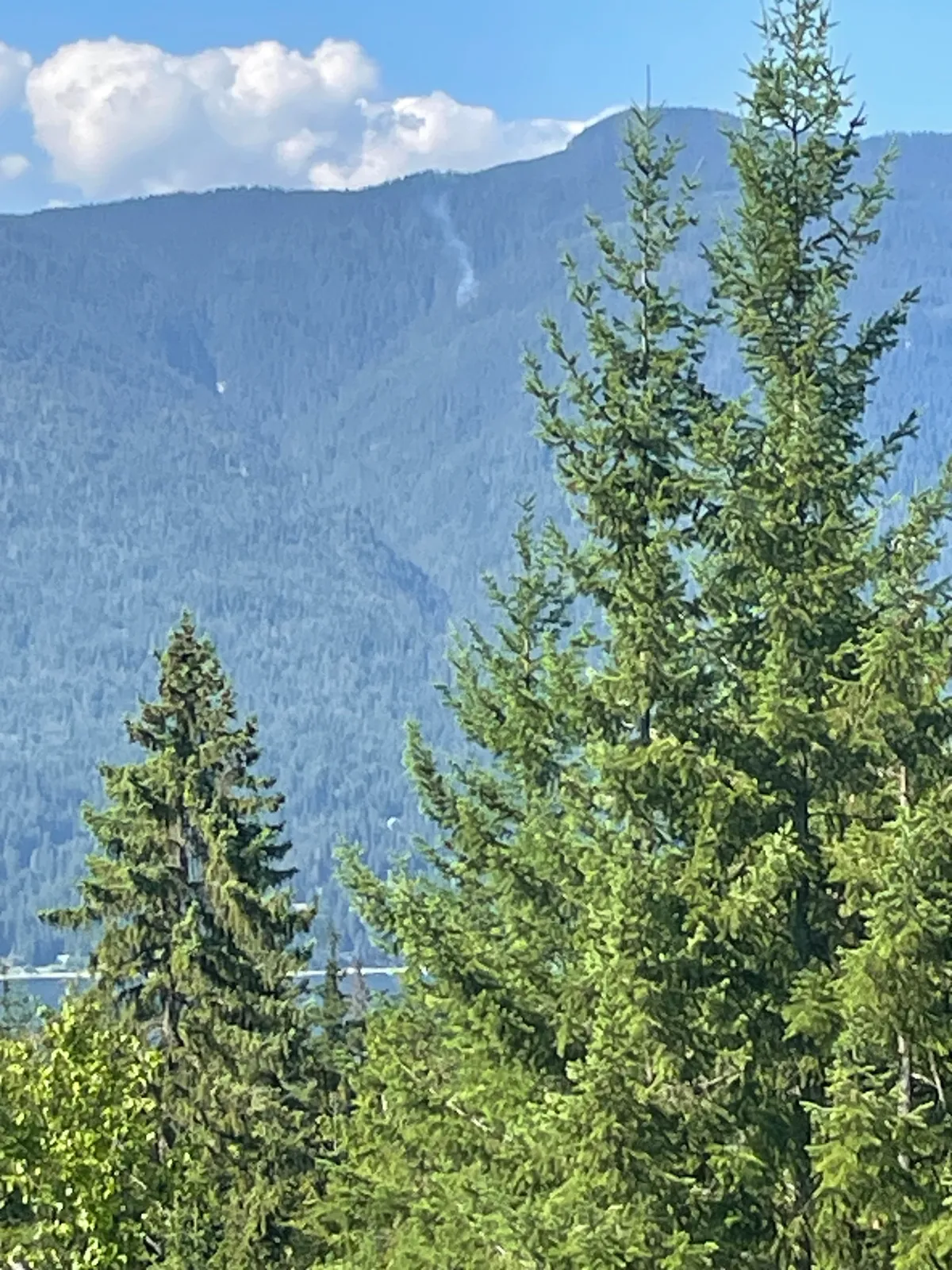 Wildfire — Salty Beaver Explores