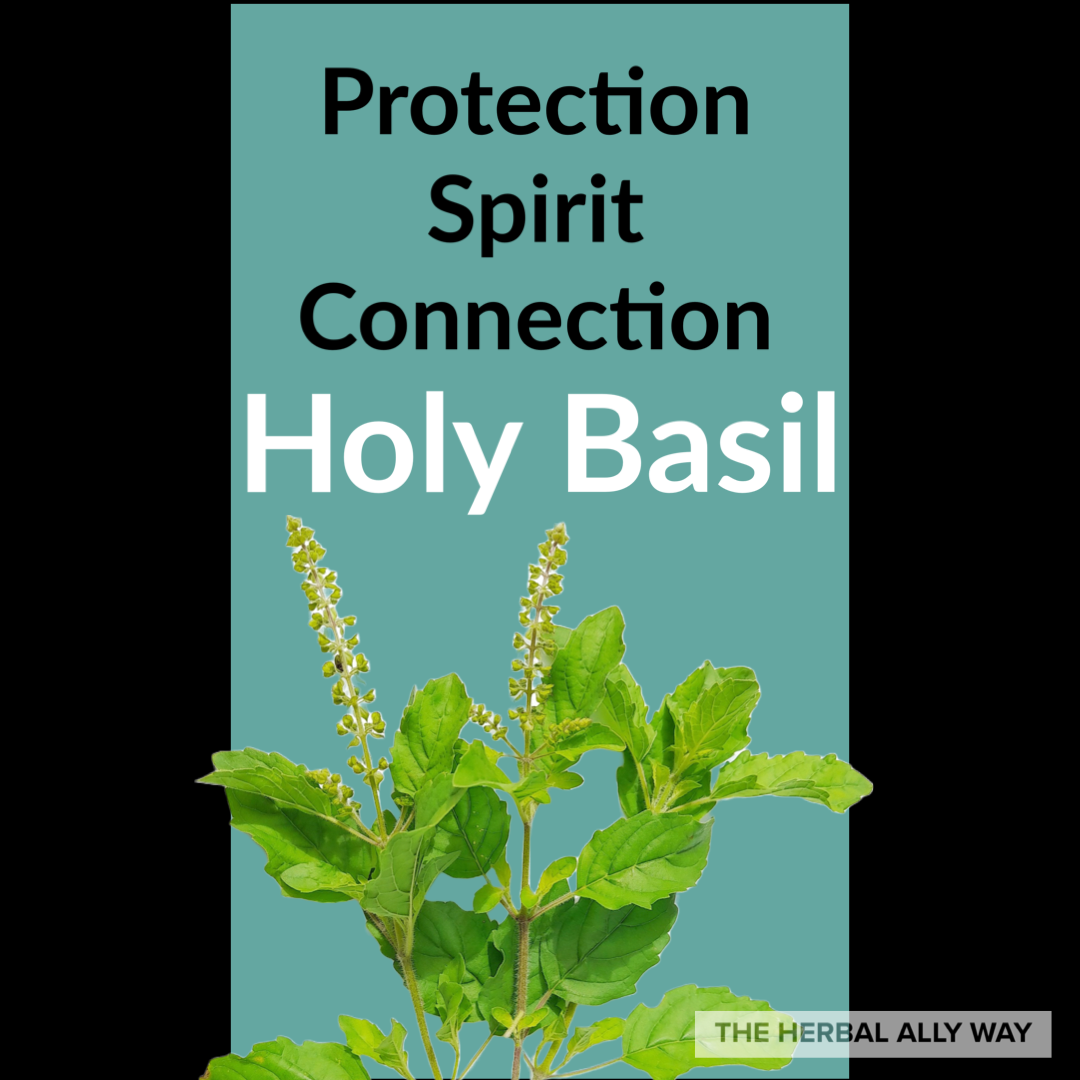 Making Magic with Food: Tulsi/Holy Basil — Jim Sayers