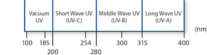 Entry (1) UV Filter: Homosalate — Mo's skin lab - Buymeacoffee