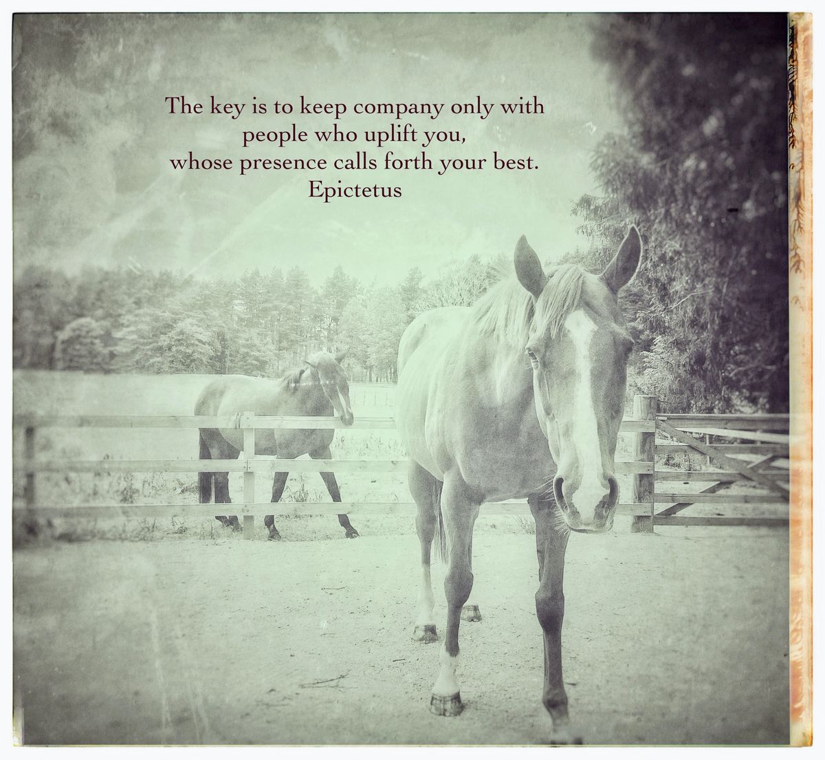 The Bafflement of the Complete Beginner — Tania Kindersley - Buymeacoffee