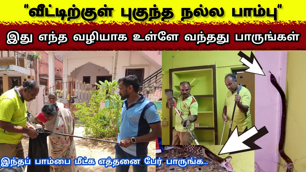 Fire service Cobra rescue video — Snake saga