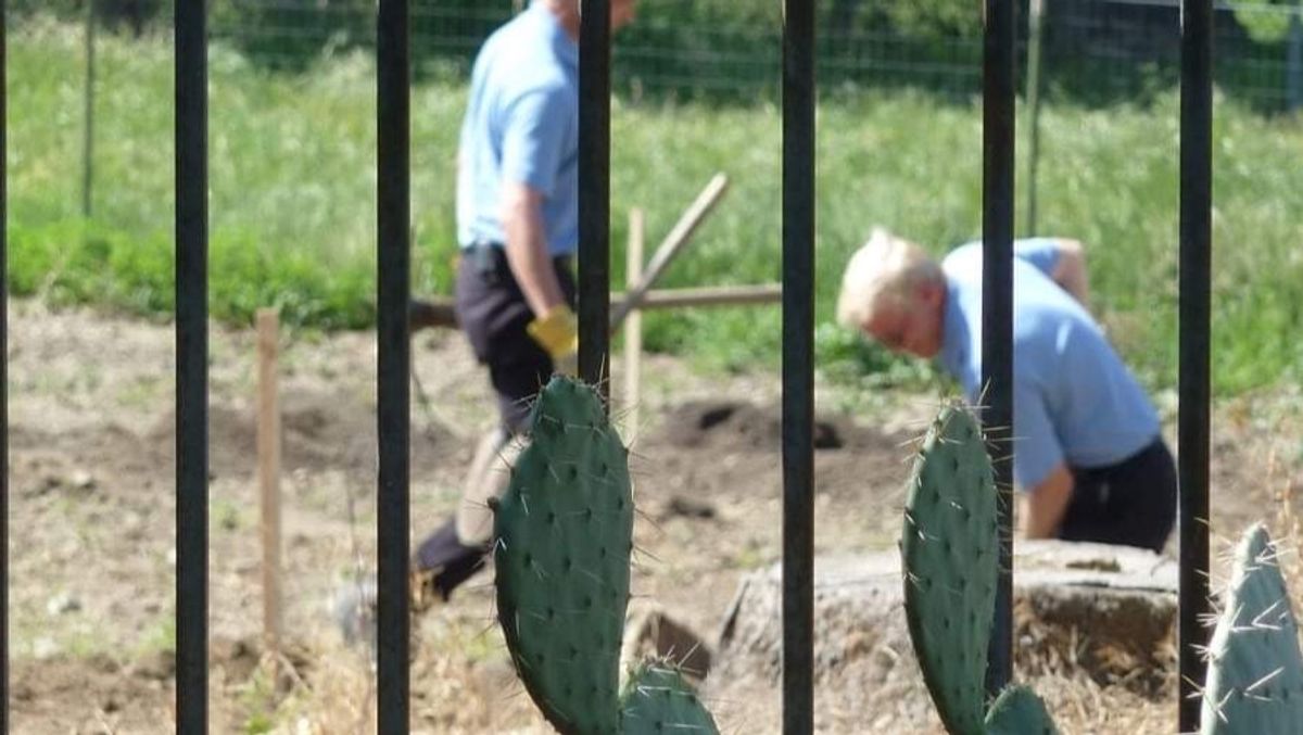 Former Scientologist, Liz Ferris, needs our help — Apostate Alex ...