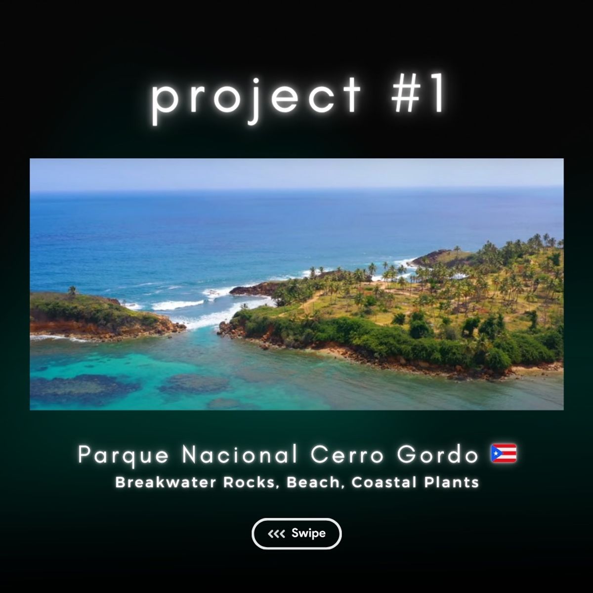 Project #1: Cerro Gordo, Puerto Rico 🇵🇷 — Ama Earth Group - Buymeacoffee