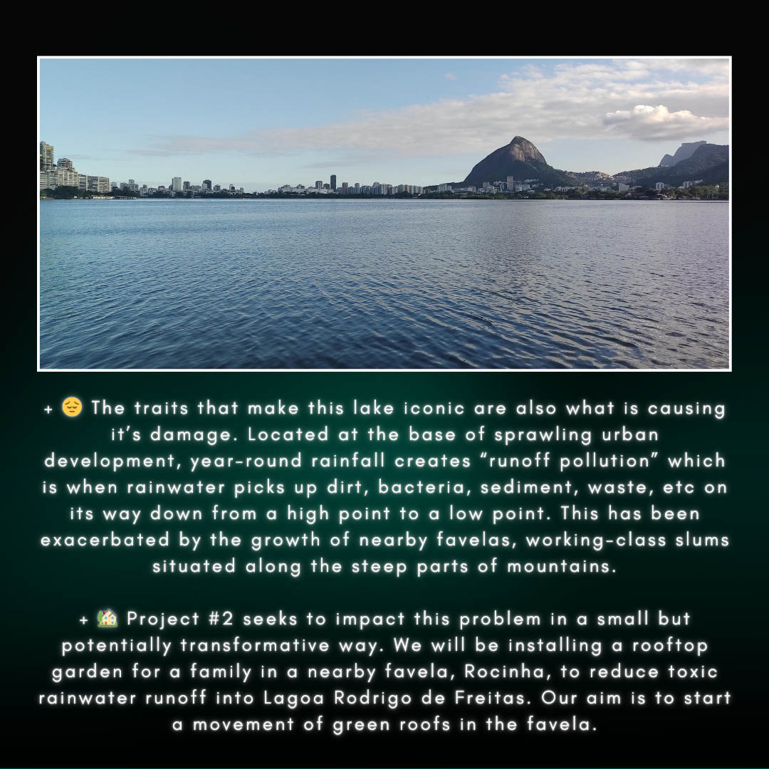 Project #2: Rooftop Garden in Brazil 🇧🇷 — Ama Earth Group - Buymeacoffee