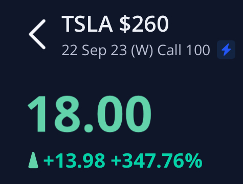 DISNEY 🐭 — RIZZY