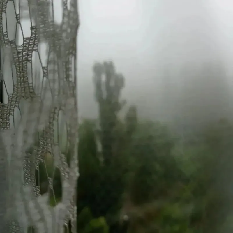 FOG is writer. ๑ Commissions open ๑ - Buymeacoffee