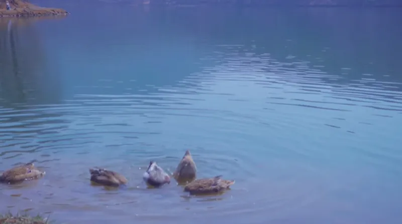 Ssoberry - Buymeacoffee