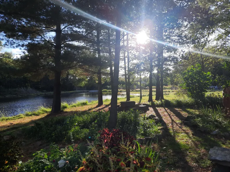 John "The Happy Rising Guy" is A relaxing enjoyable page to unwind and ...