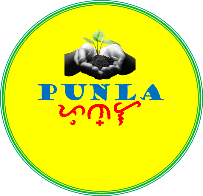 Plan on having Membership Level — Rolando Comon - Buymeacoffee