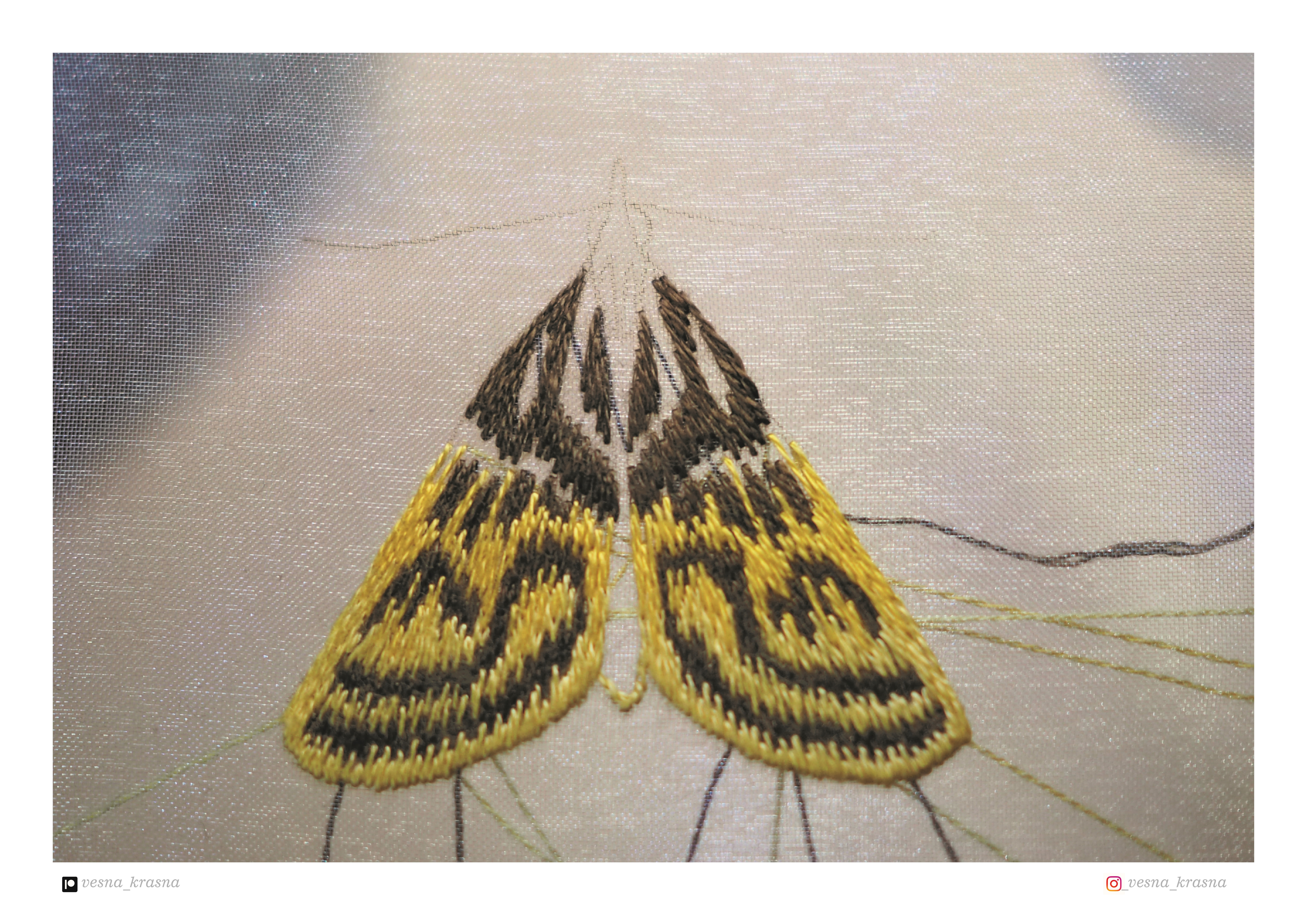Magdalena Moth Embroidery Pattern — Vesna Krasna - Buymeacoffee