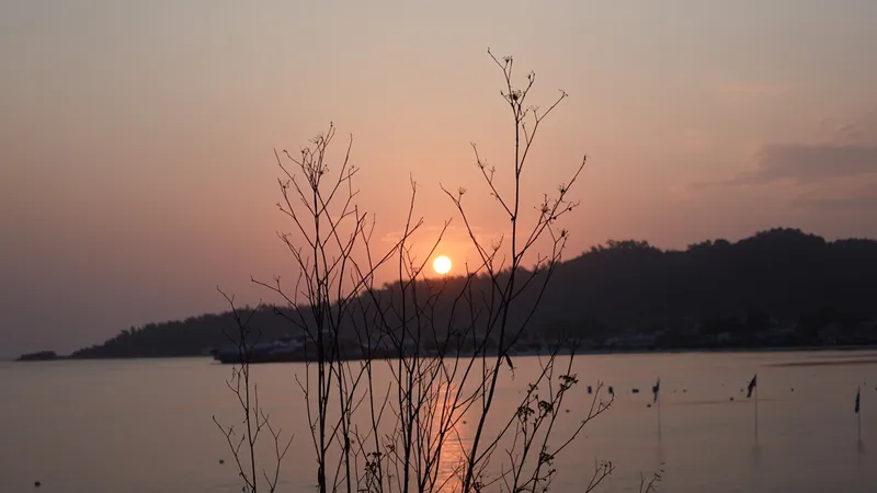 Samuel Murray - Buymeacoffee