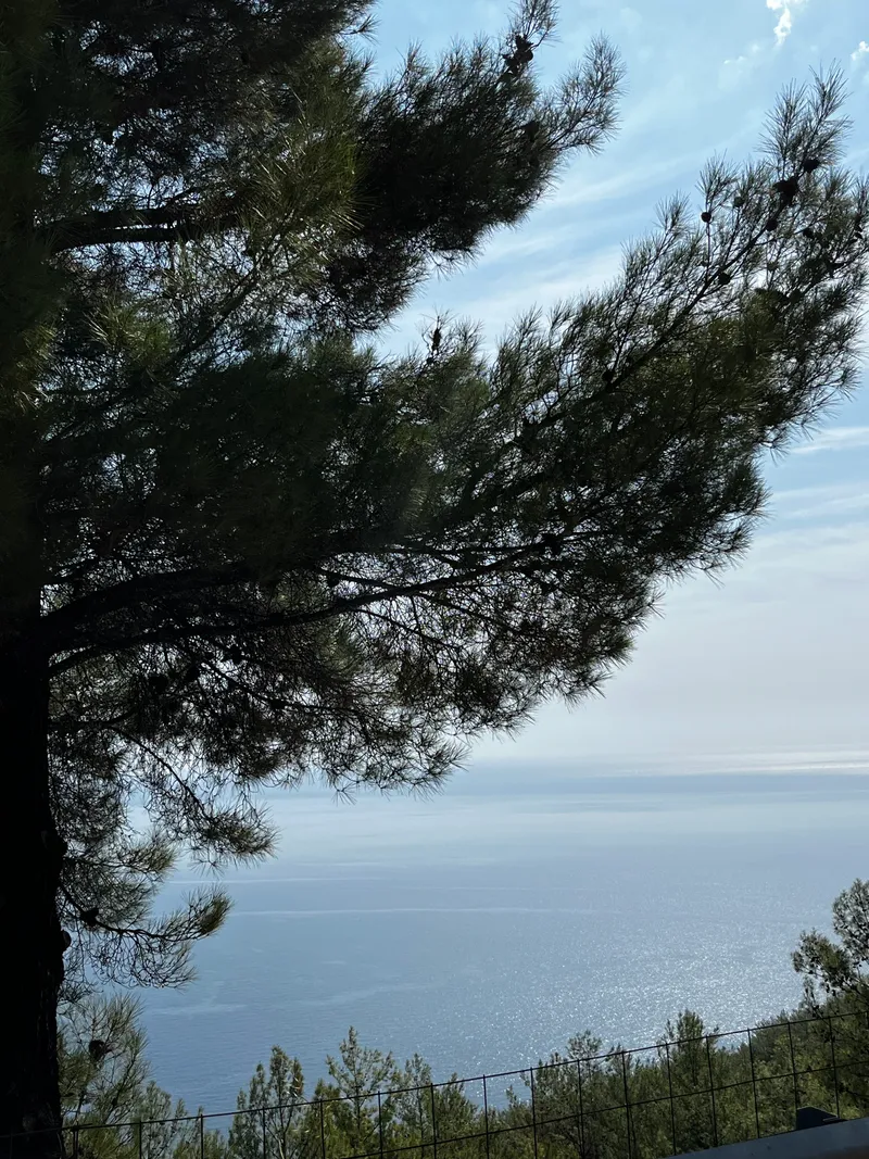 Samuel Murray - Buymeacoffee