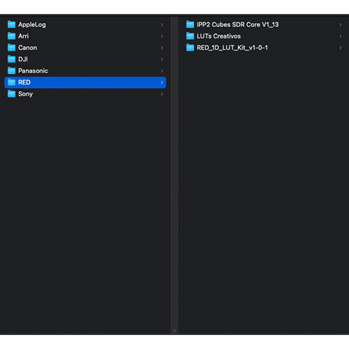 LUTs Gratis — El Mono Editor - Buymeacoffee