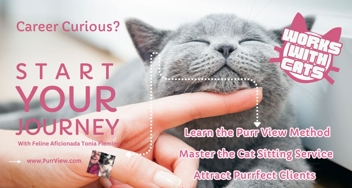 Are You Career Curious? — Works With Cats By Purr View - Buymeacoffee