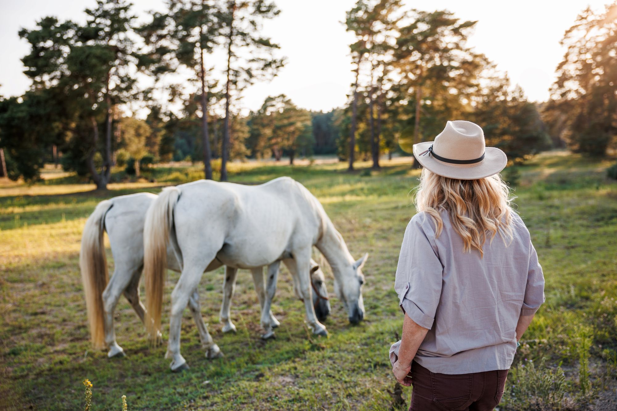 Is This Harmful Or Is This Healing? — Angela Dunning of The Horse's ...