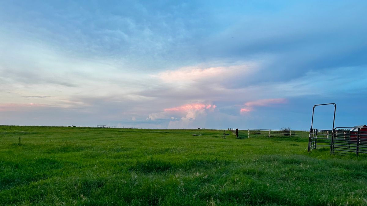 🌾 Goodnight from the Quiet Porch 🌾 — The Quiet Porch With Brandy ...