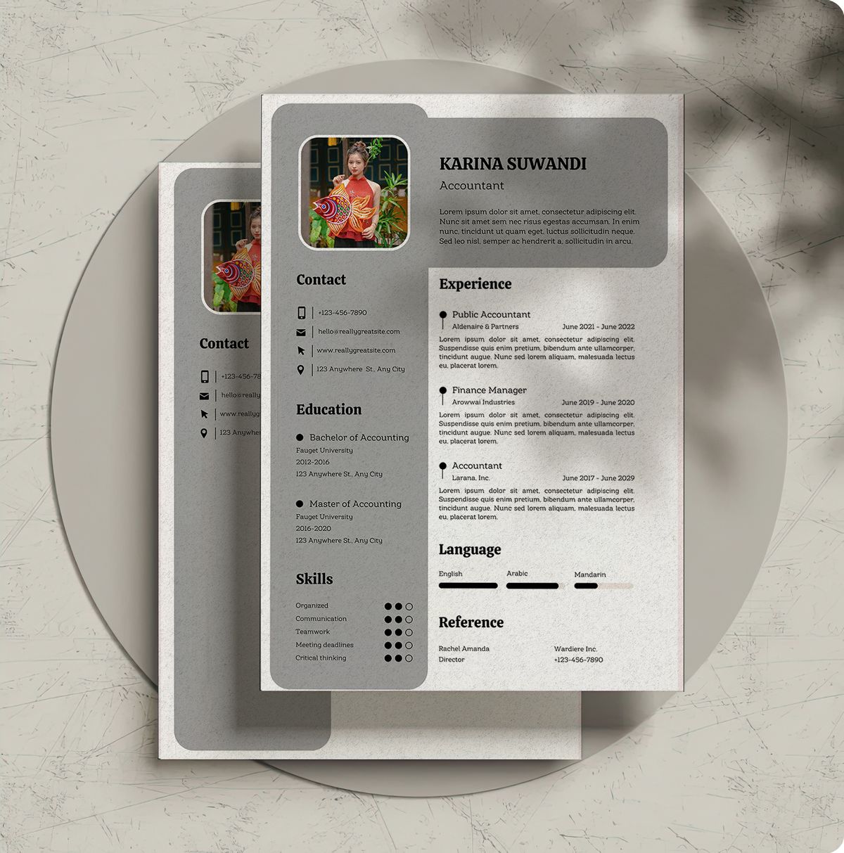 Global Vision: Modern Resumes for Worldwide Careers 2 resume templates ...