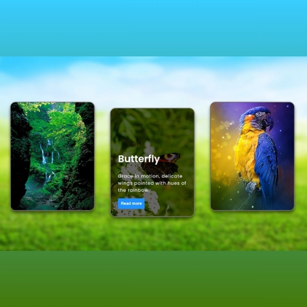 Create Card Transition using html and css - Buymeacoffee