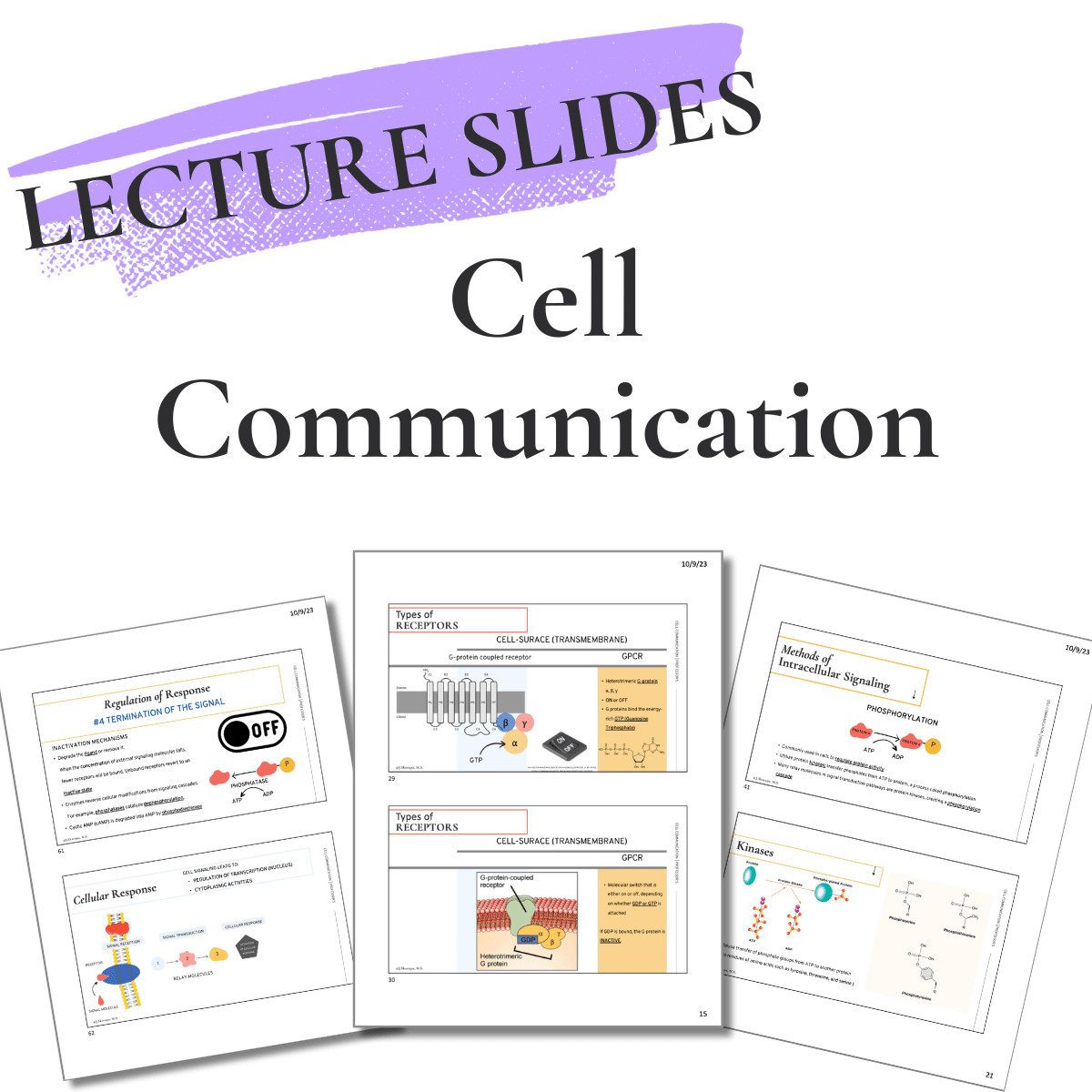 Cell Communication_Lecture Slides PDF - Buymeacoffee
