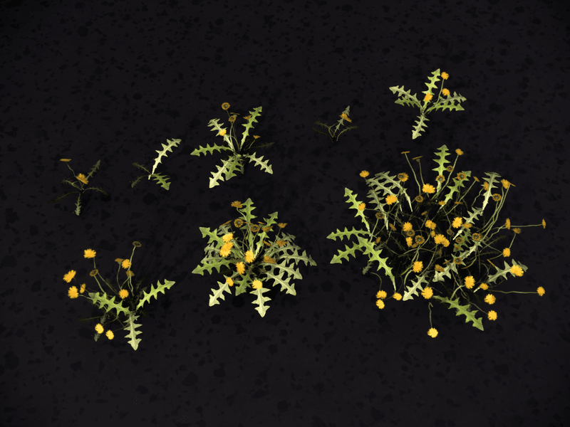 Extras | Li Kruy - Buymeacoffee