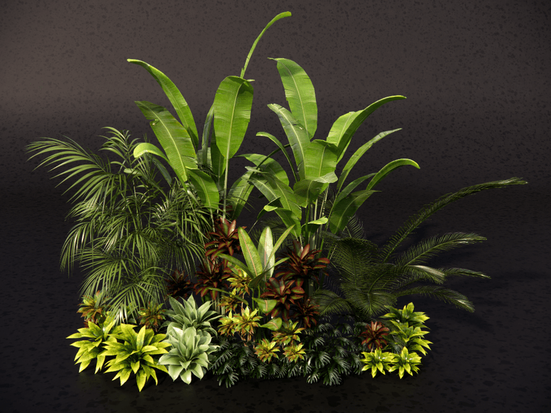 Extras | Li Kruy - Buymeacoffee