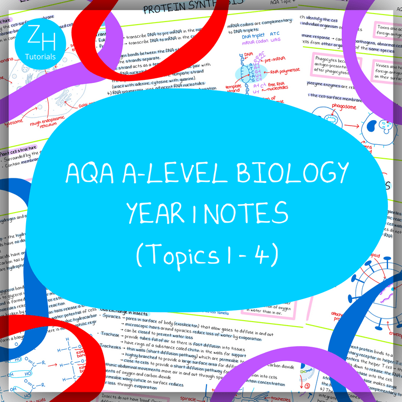 AQA A-Level Biology Notes Complete Notes - Buymeacoffee