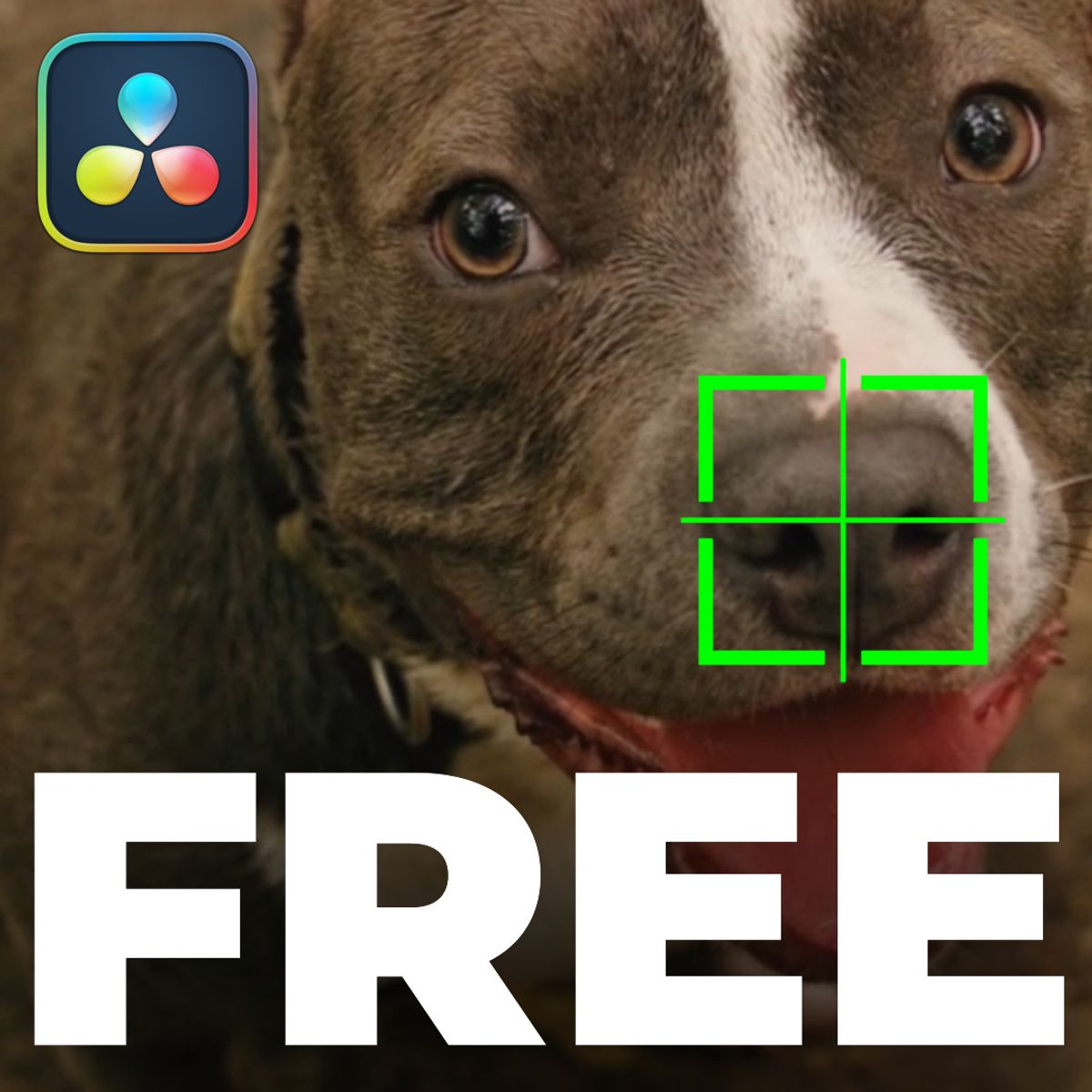 Locked Object Stabilization — Free DaVinci Resolve Macro - Buymeacoffee