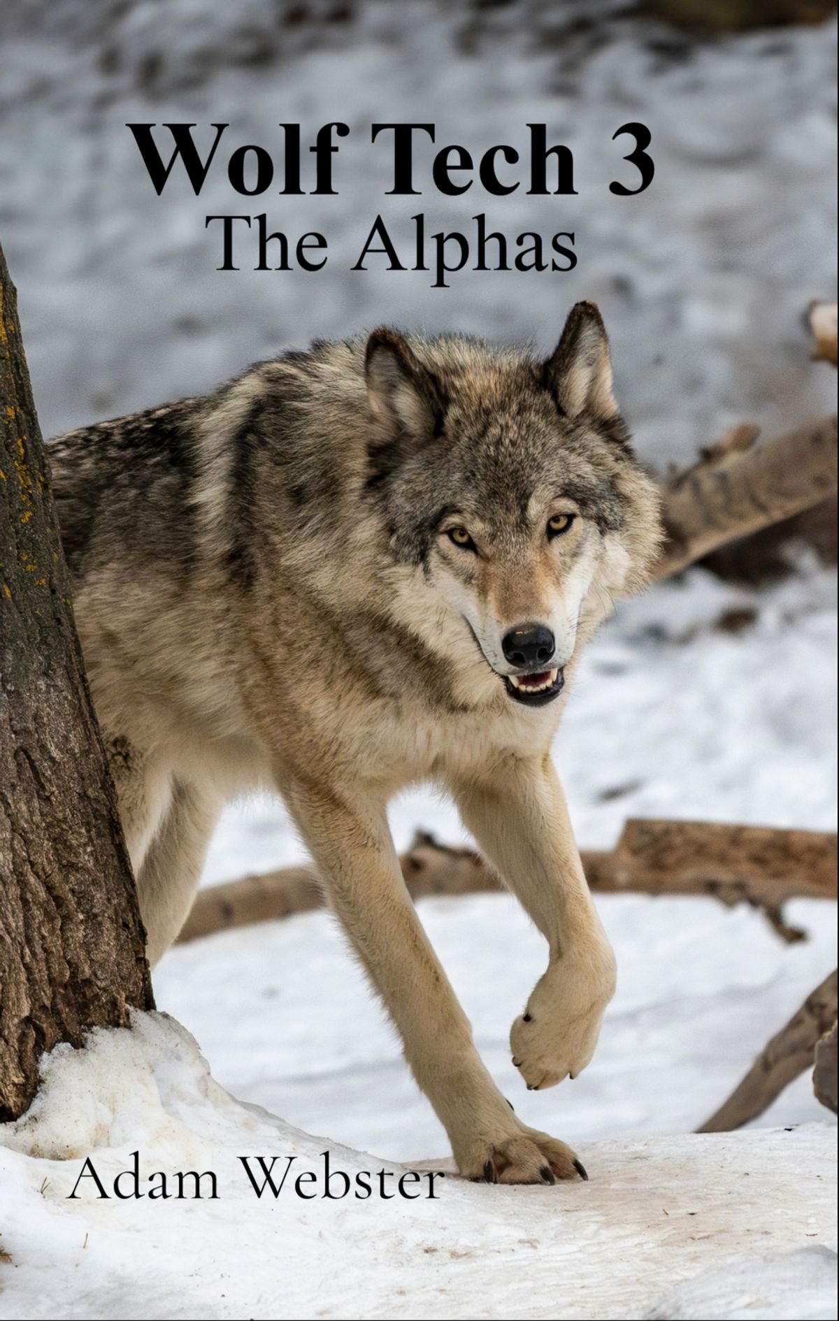 Digital Image of the cover of the Wolf Tech 3: The Alpha & Source Image ...